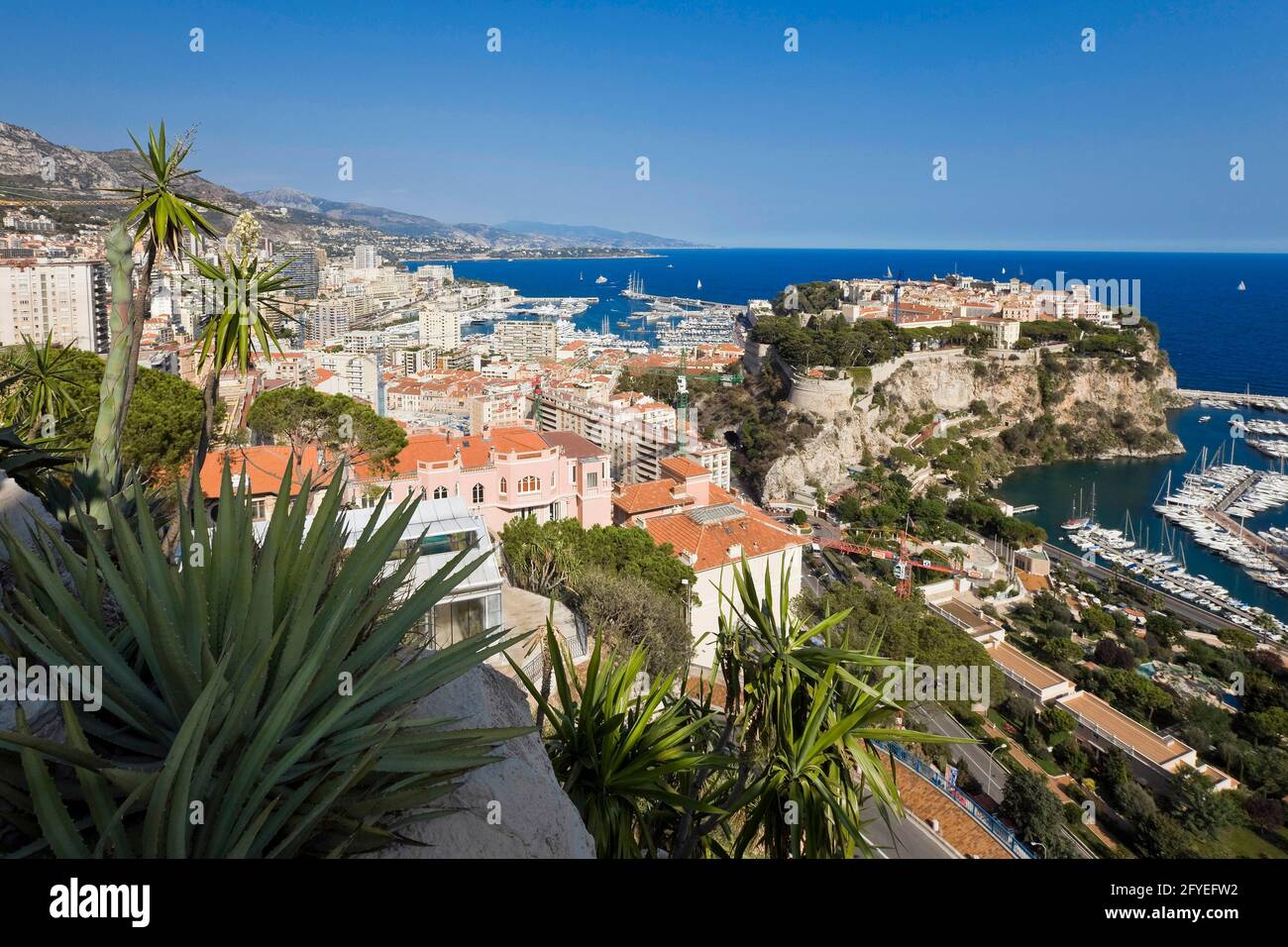 Exotic gardens monaco hi-res stock photography and images - Alamy