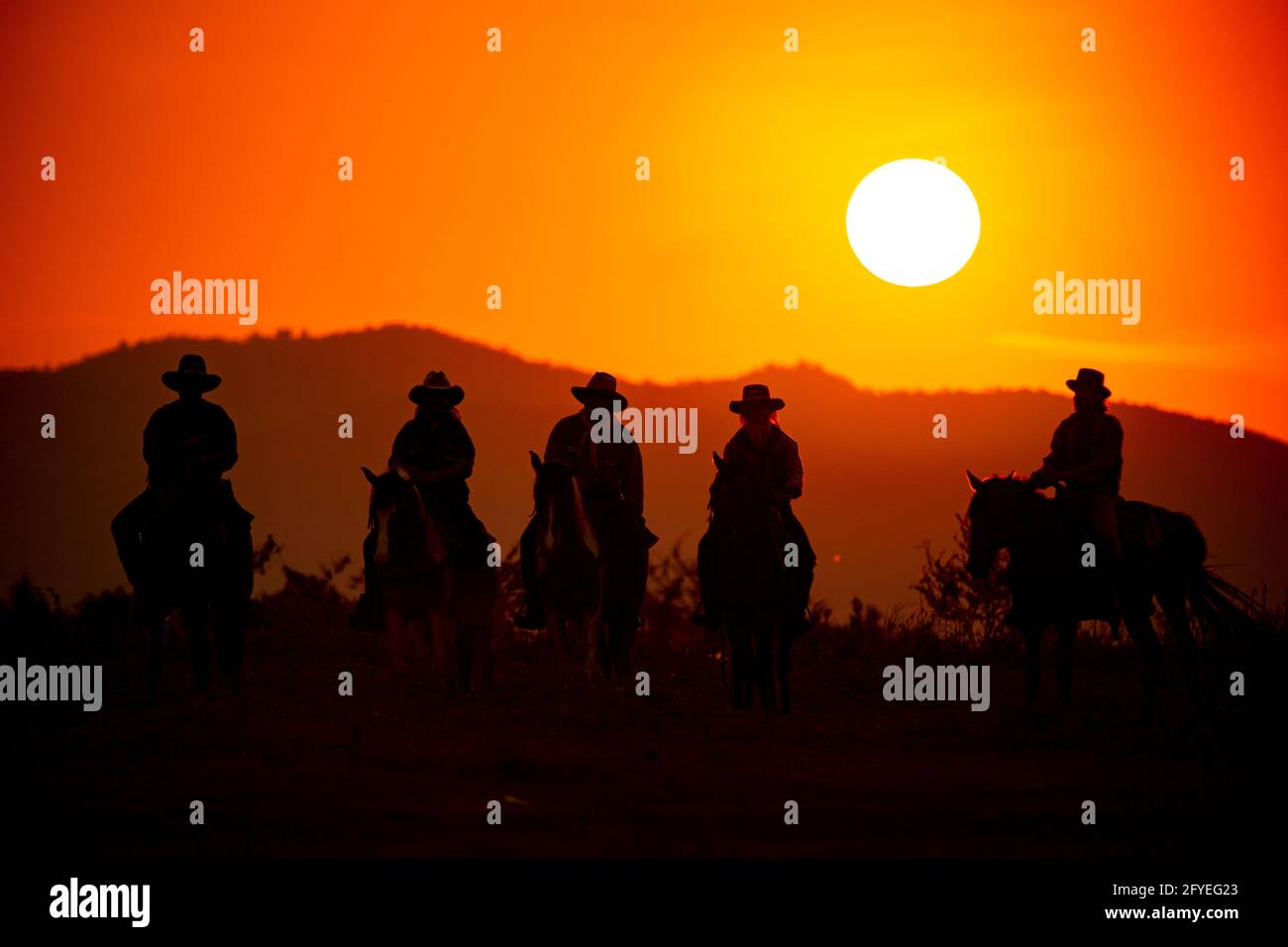 cowboy riding horse against sunset Stock Photo - Alamy