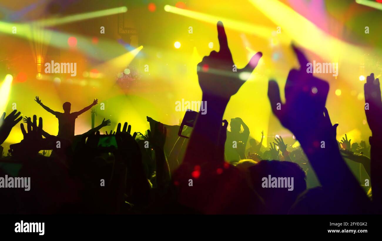 Concert Music festival and Celebrate. Party People Rock Concert. Crowd ...