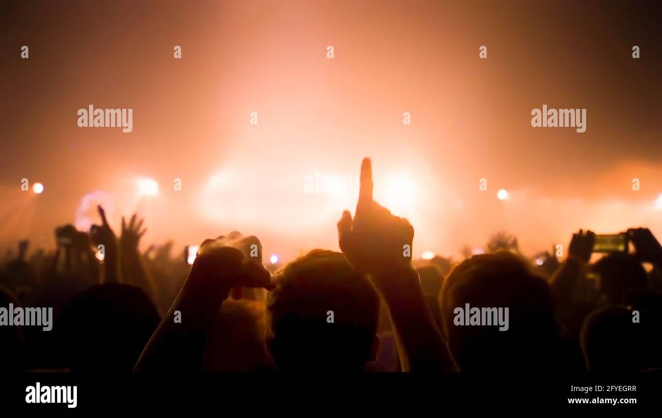 Concert Music festival and Celebrate. Party People Rock Concert. Crowd ...