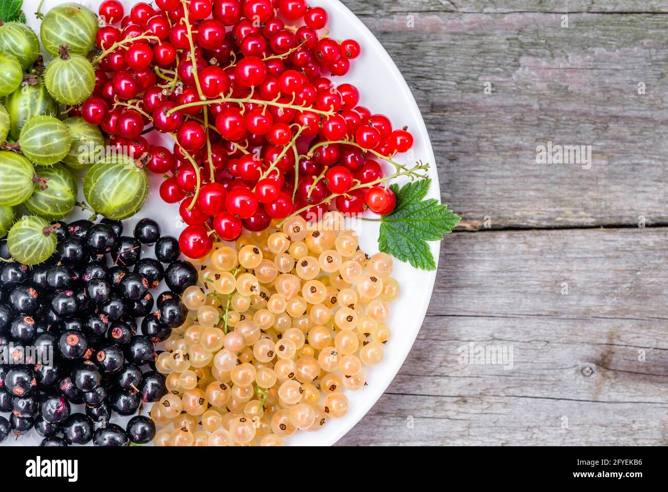 Red Currant Fruit