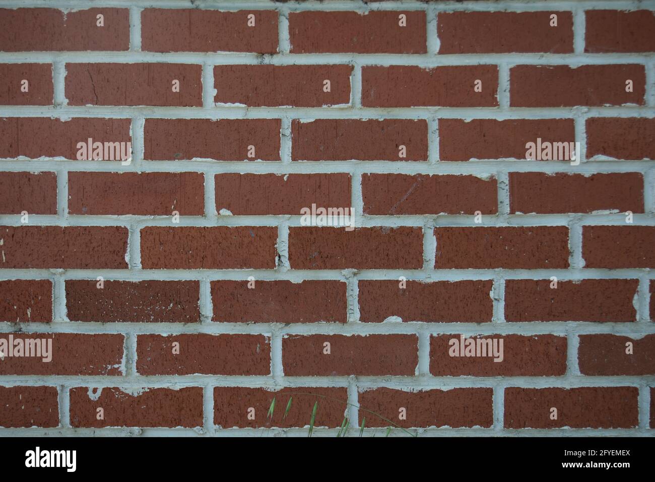 Photograph of a real wall made of natural Red bricks Stock Photo - Alamy