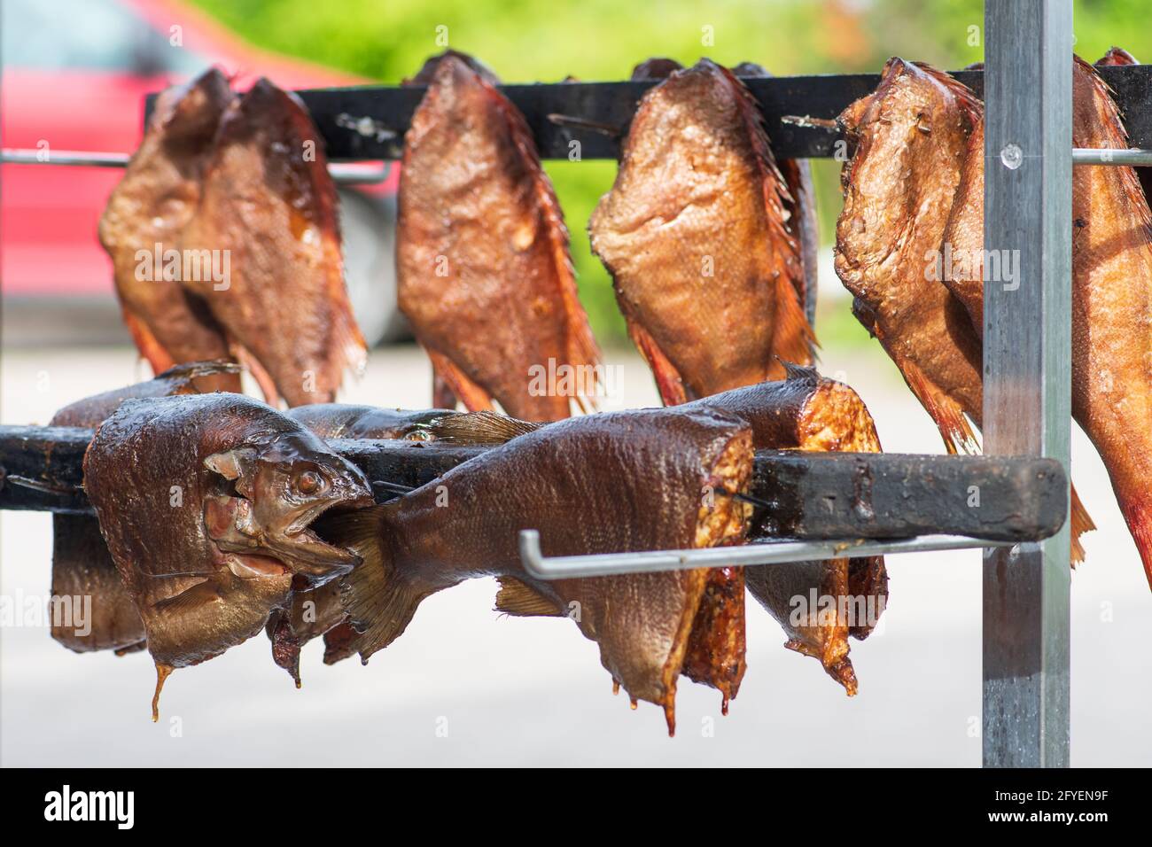 Various dry smoked spiced and marinated salmon or trout fish ready to ...