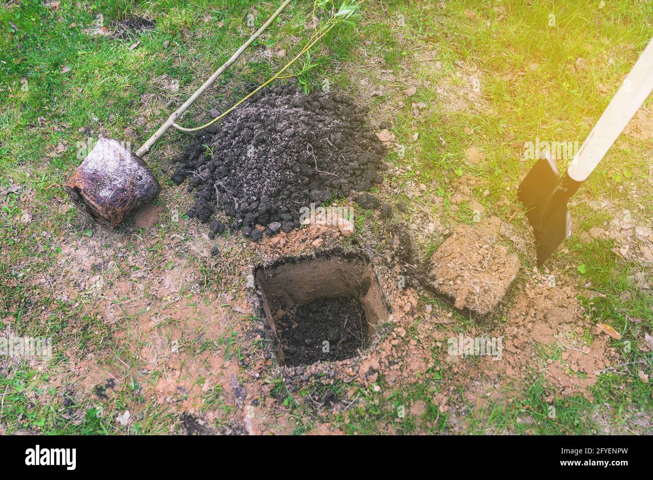 Hole in ground roots hi-res stock photography and images - Alamy