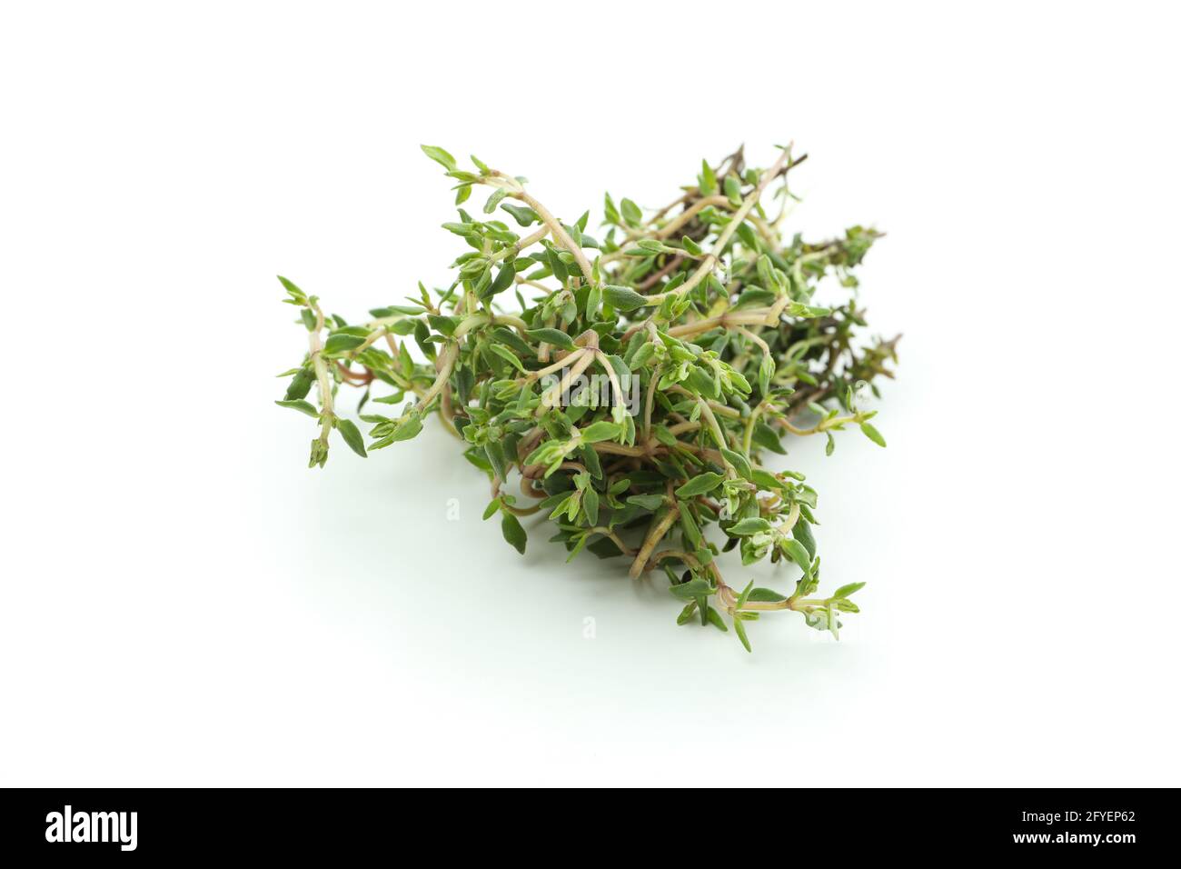Fresh green thyme isolated on white background Stock Photo - Alamy