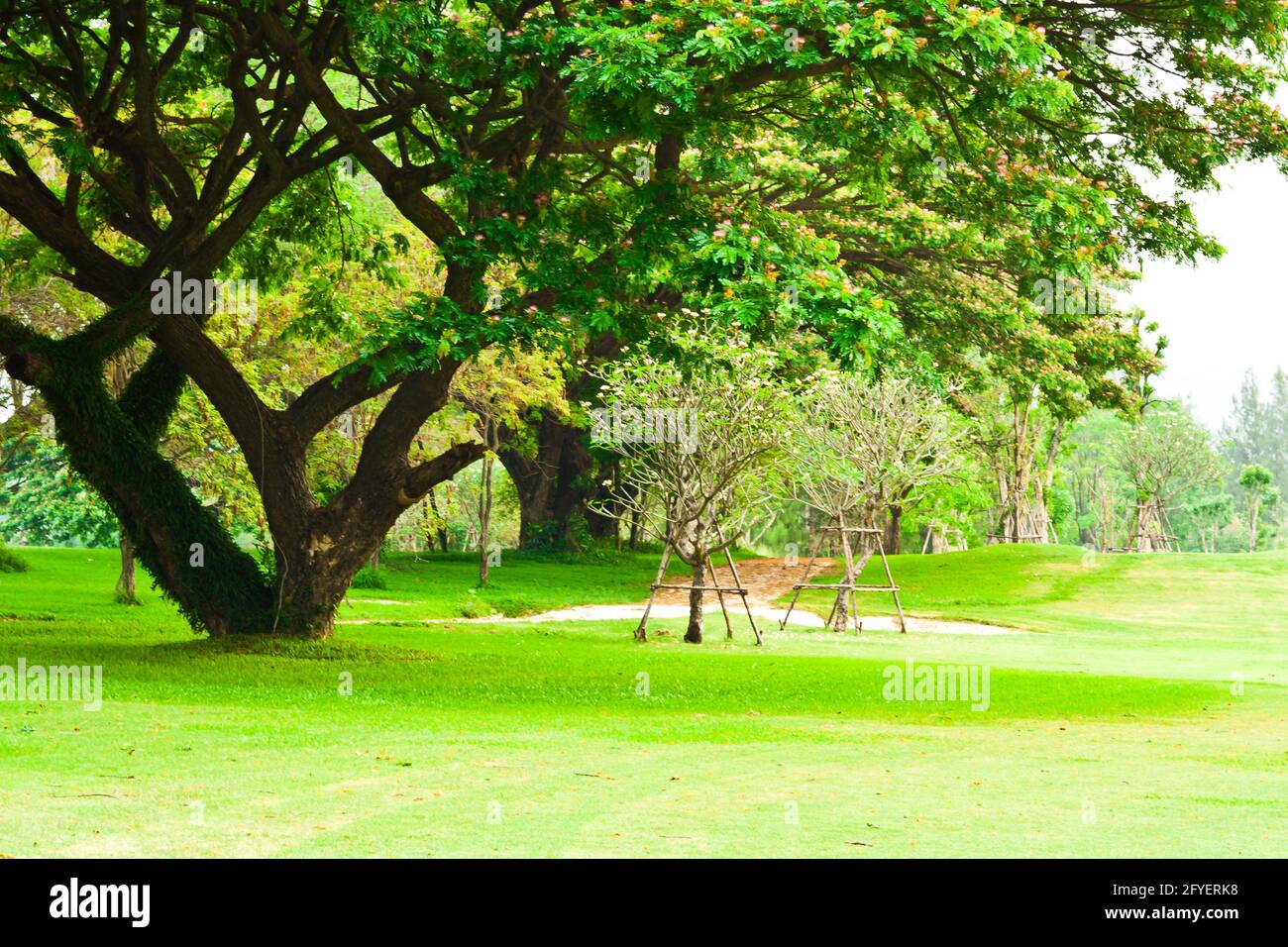 Landscape of a green field with trees Stock Photo - Alamy