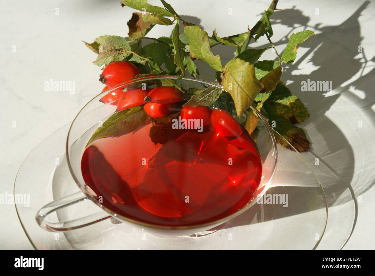 Rose Hip Tea Stock Photo - Alamy