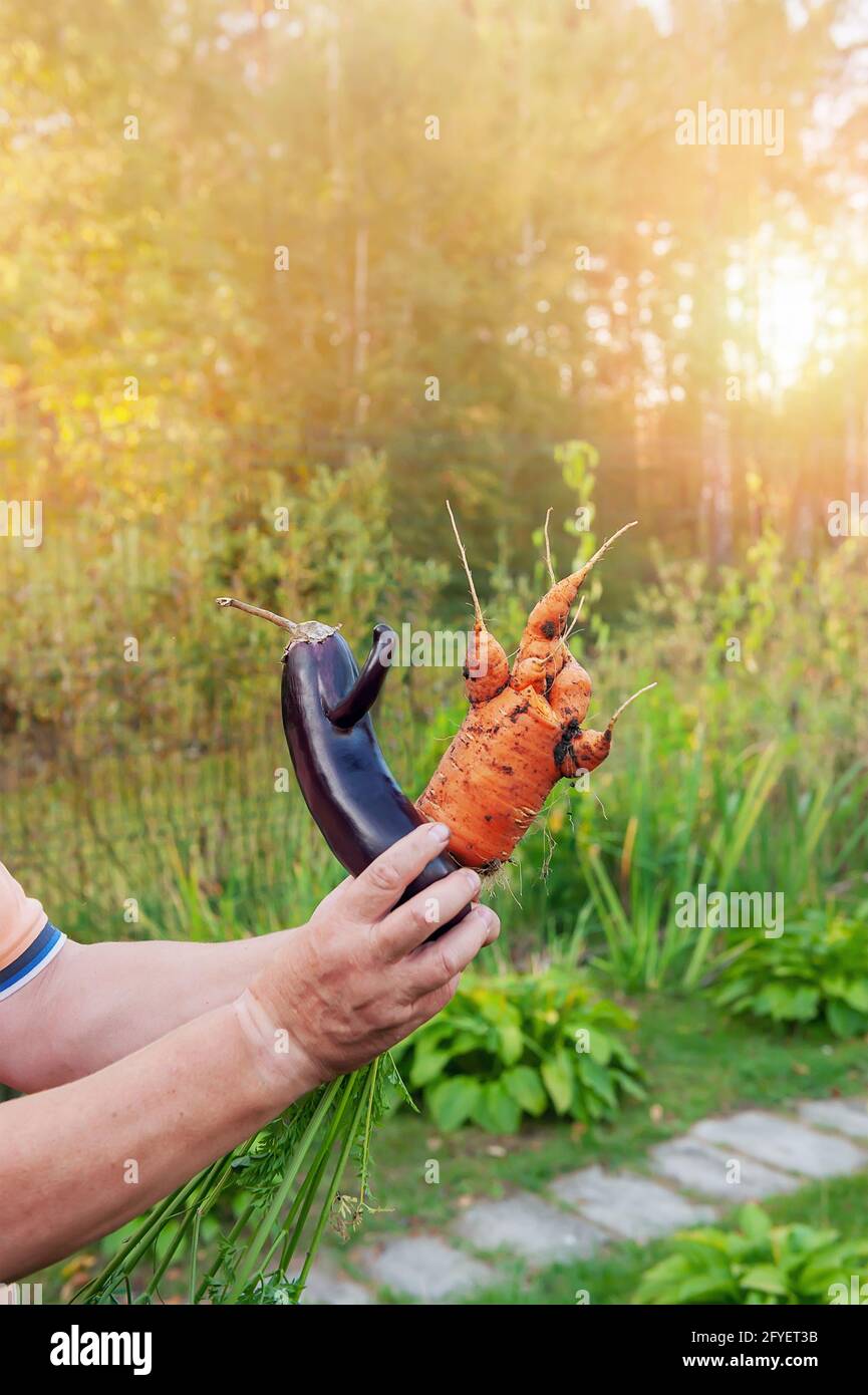 Mutant food hi-res stock photography and images - Alamy