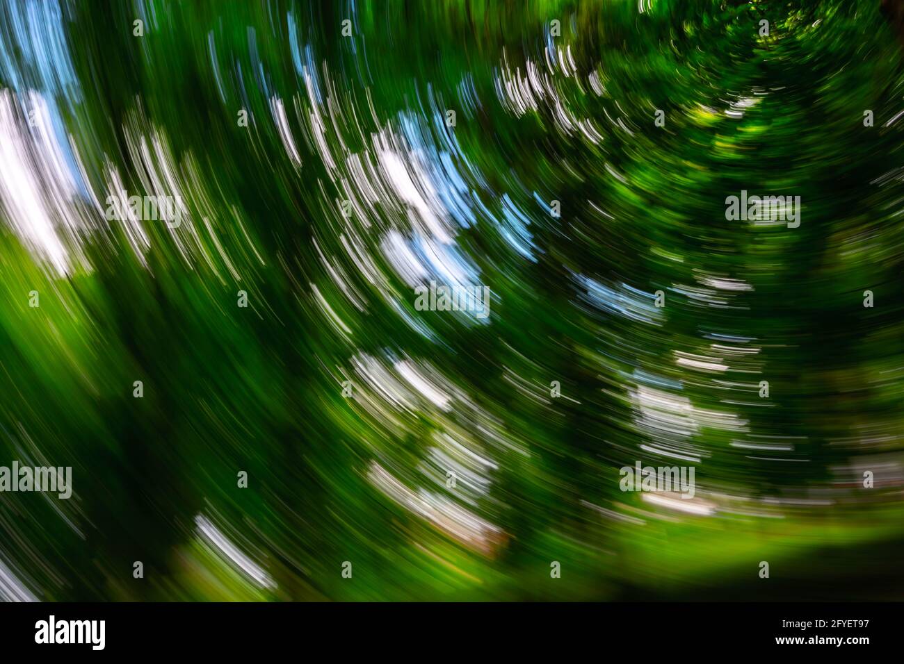 Abstract blurred green background from circular movements of the camera ...