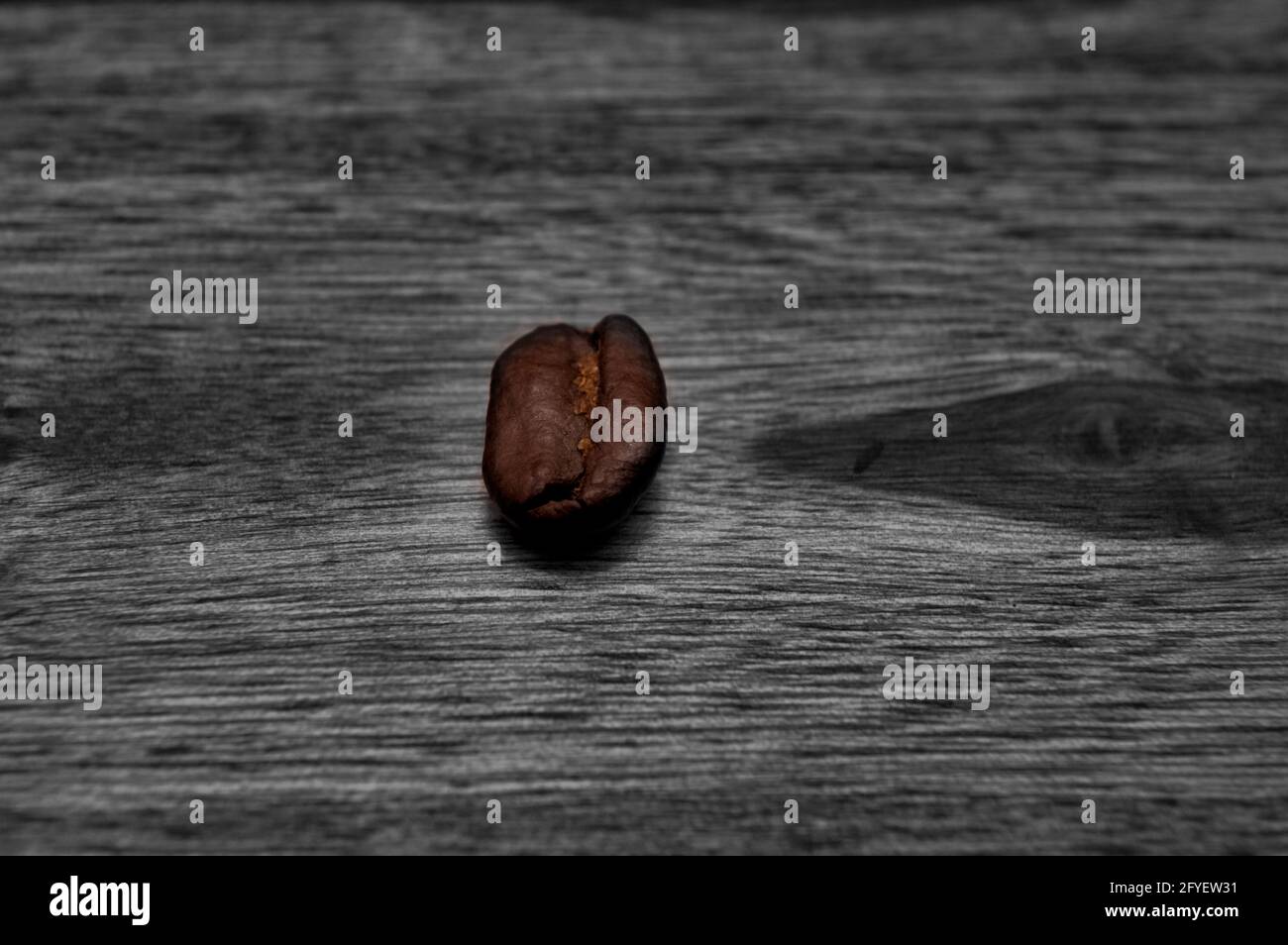 Single coffee bean against a gray back ground Stock Photo - Alamy