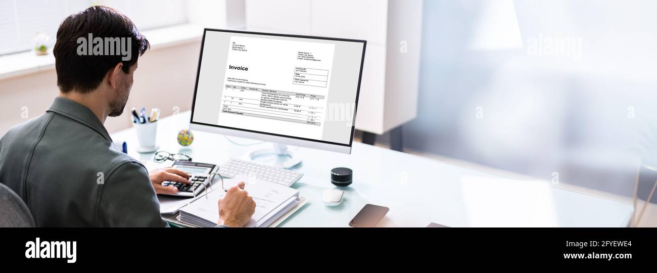 Professional Chartered Accountant Using Electronic Invoice Bill ...