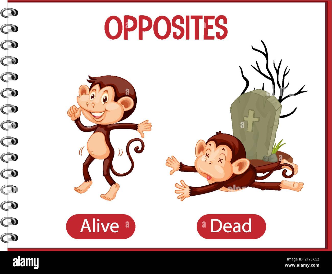Opposite words with alive and dead illustration Stock Vector Image ...