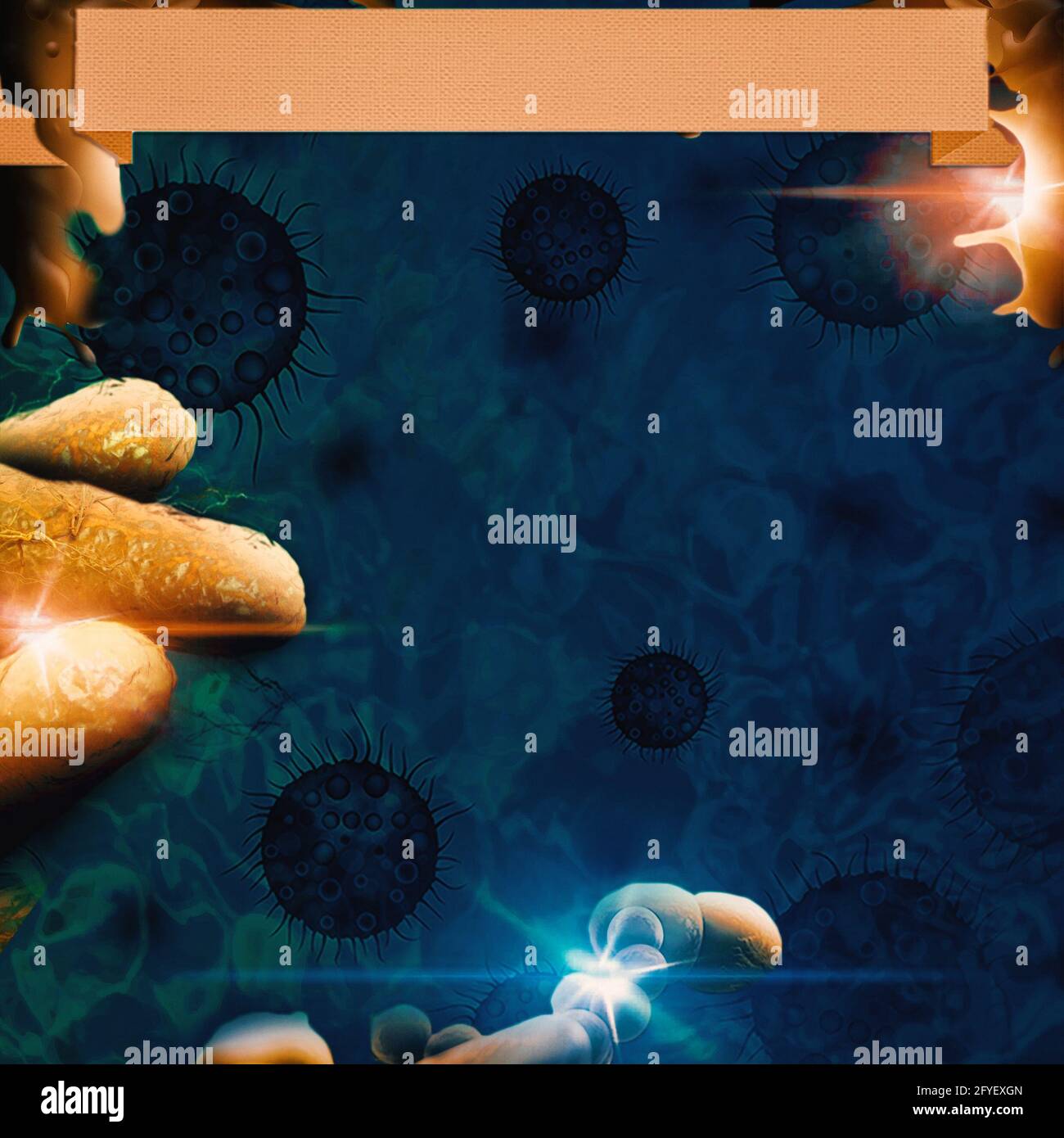An infographic template related to bacteria and cellular structures ...