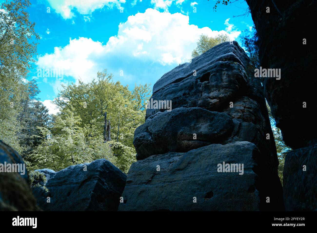 Low angle shot of overgrown rocks and trees with moss in a forest Stock ...