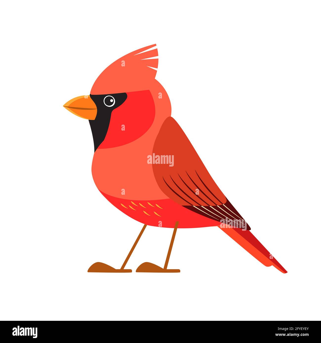 Bird cardinal songbird birds Cut Out Stock Images & Pictures - Alamy