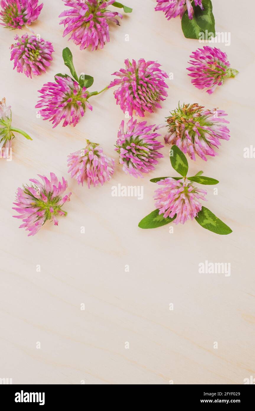Vertical shot of red clovers on a wooden surface with space for text ...