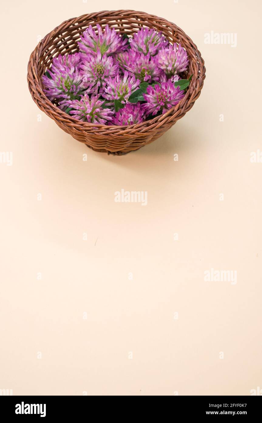 Vertical shot of red clovers in a basket on a beige surface with space ...