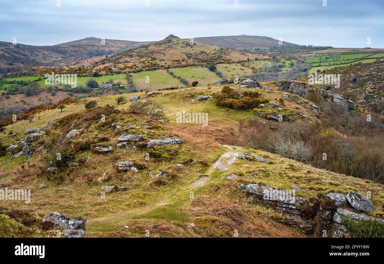 View north along Bench Tor, with Sharp Tor on the other side of the ...