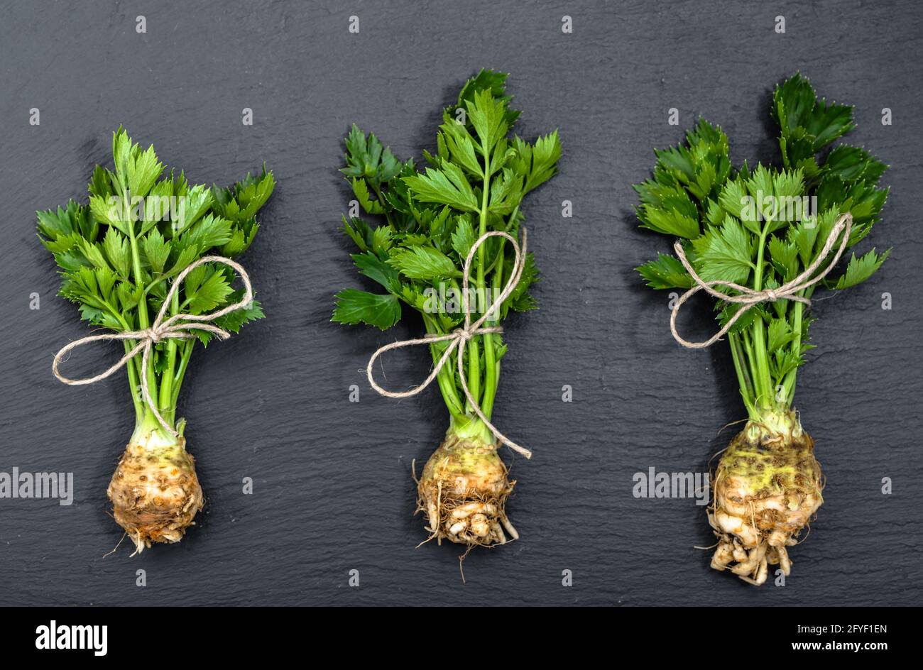 Fresh celery stalks leaves hi-res stock photography and images - Alamy