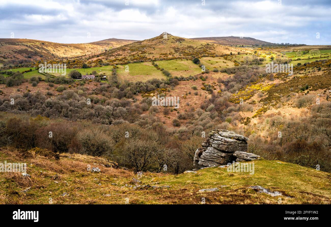 View of Sharp Tor from Bench Tor, across the gorge of the River Dart ...