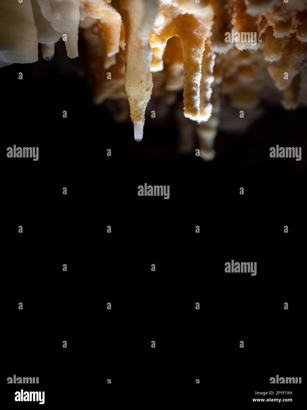 Stalactites formation with water drop and black background Stock Photo ...