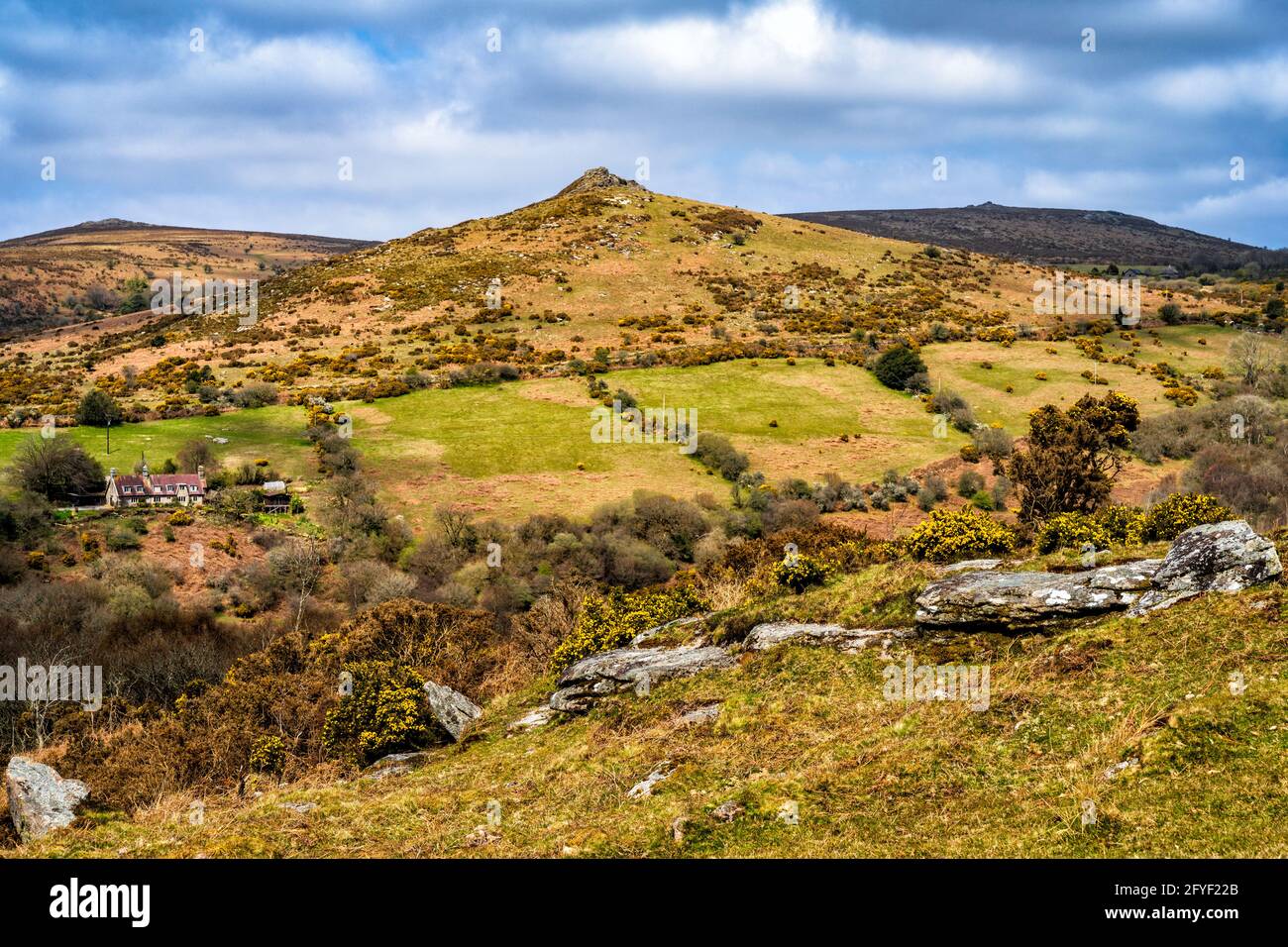 View of Sharp Tor from Bench Tor, across the gorge of the River Dart ...