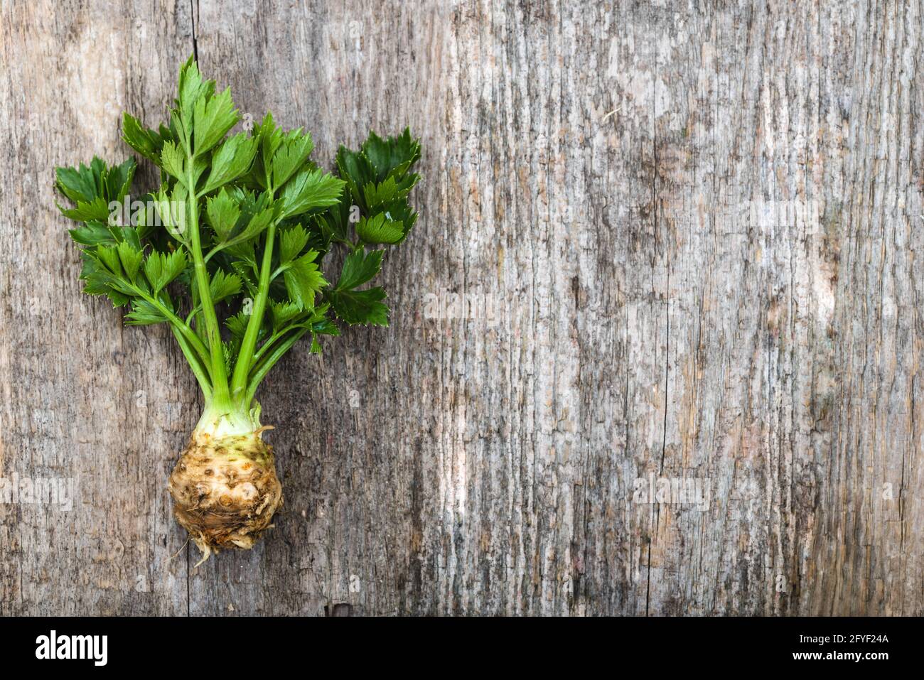 Root of celery with leaves, overhead, vegetables from local market ...