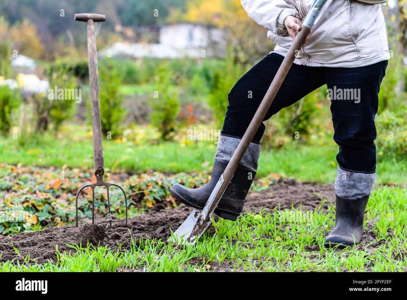 Garden spade shovel spring soil digging hi-res stock photography and ...
