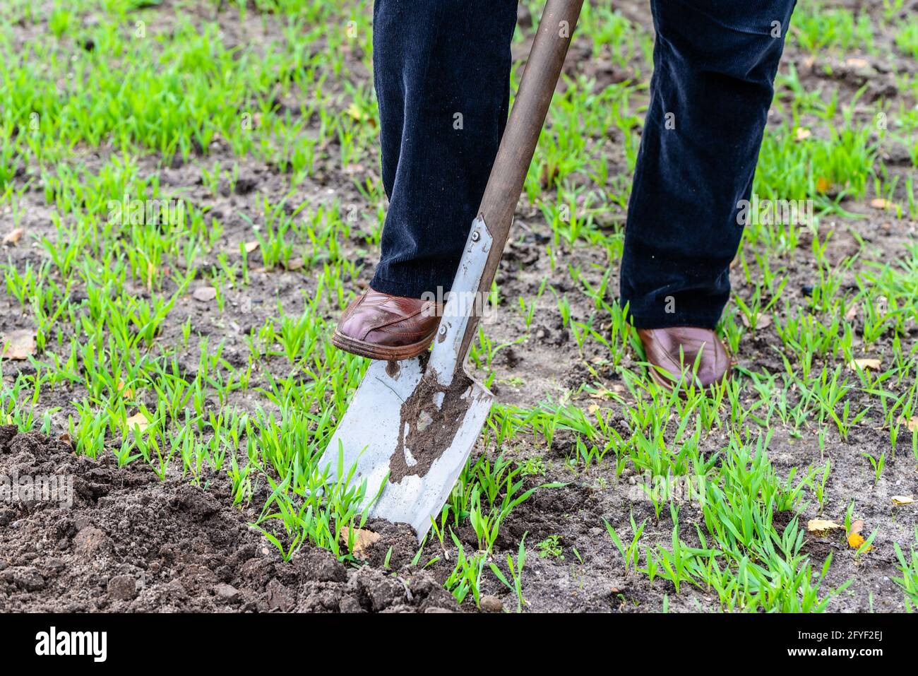 Farmer digging hi-res stock photography and images - Alamy