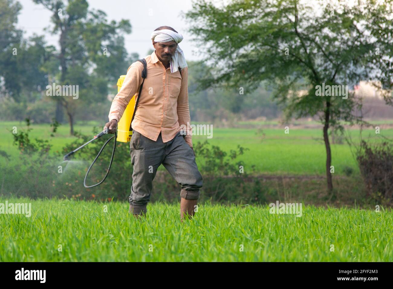 Farm india pesticide hi-res stock photography and images - Alamy