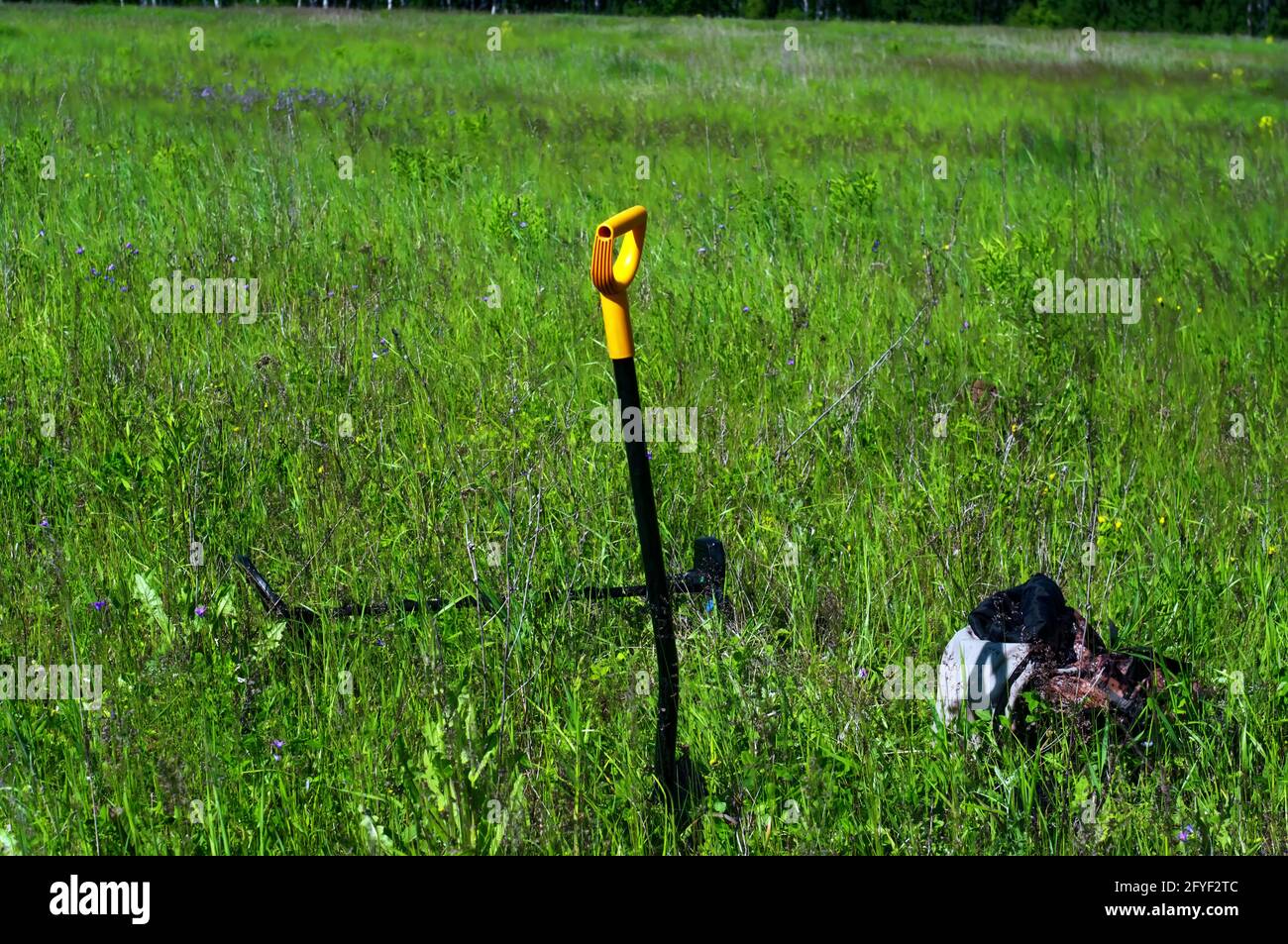 Man in field metal detector hi-res stock photography and images - Alamy