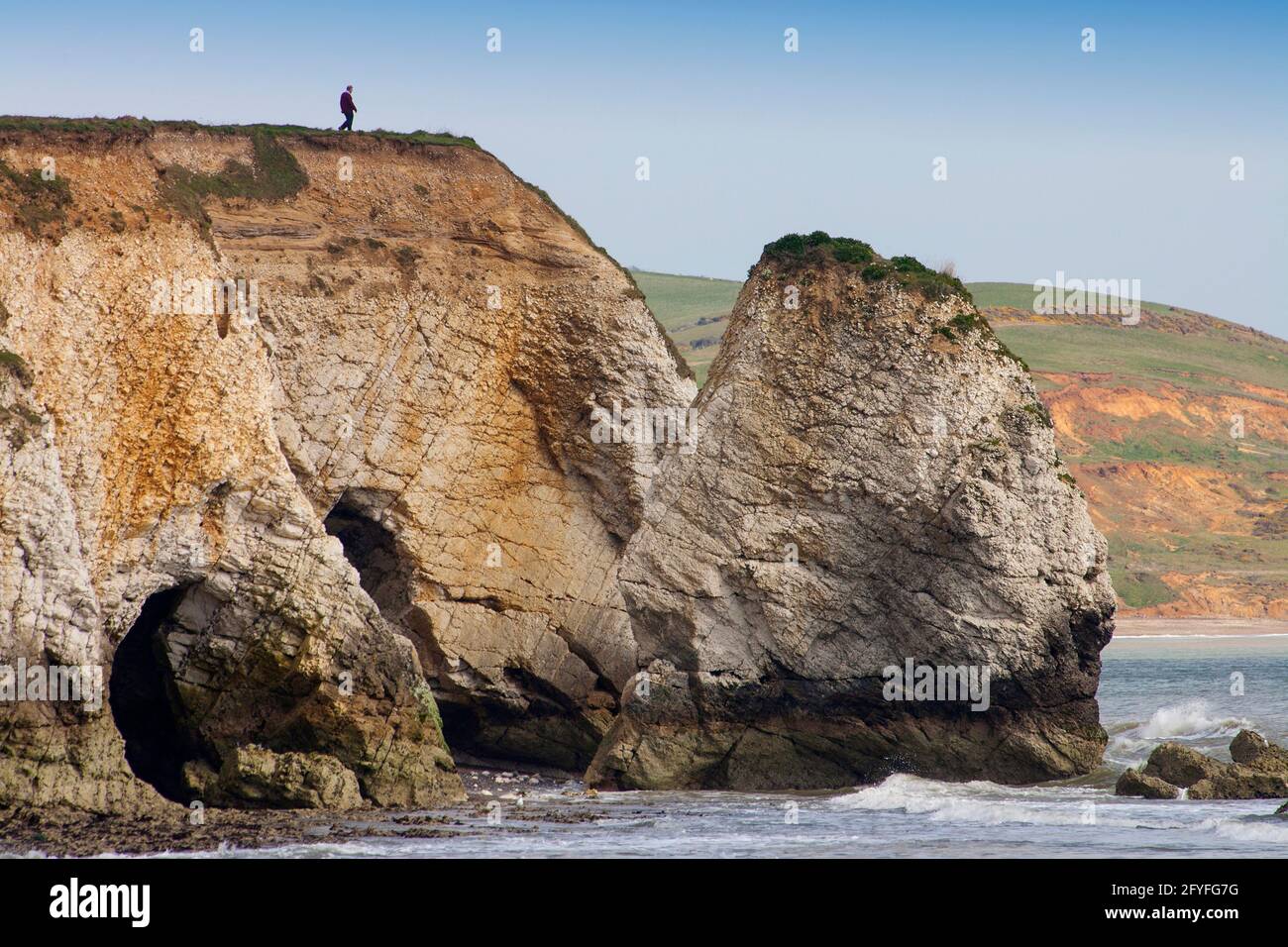 Man, walking on, cliff, cliff, edge, sea, stacks, rocks, Jurassic Coast ...