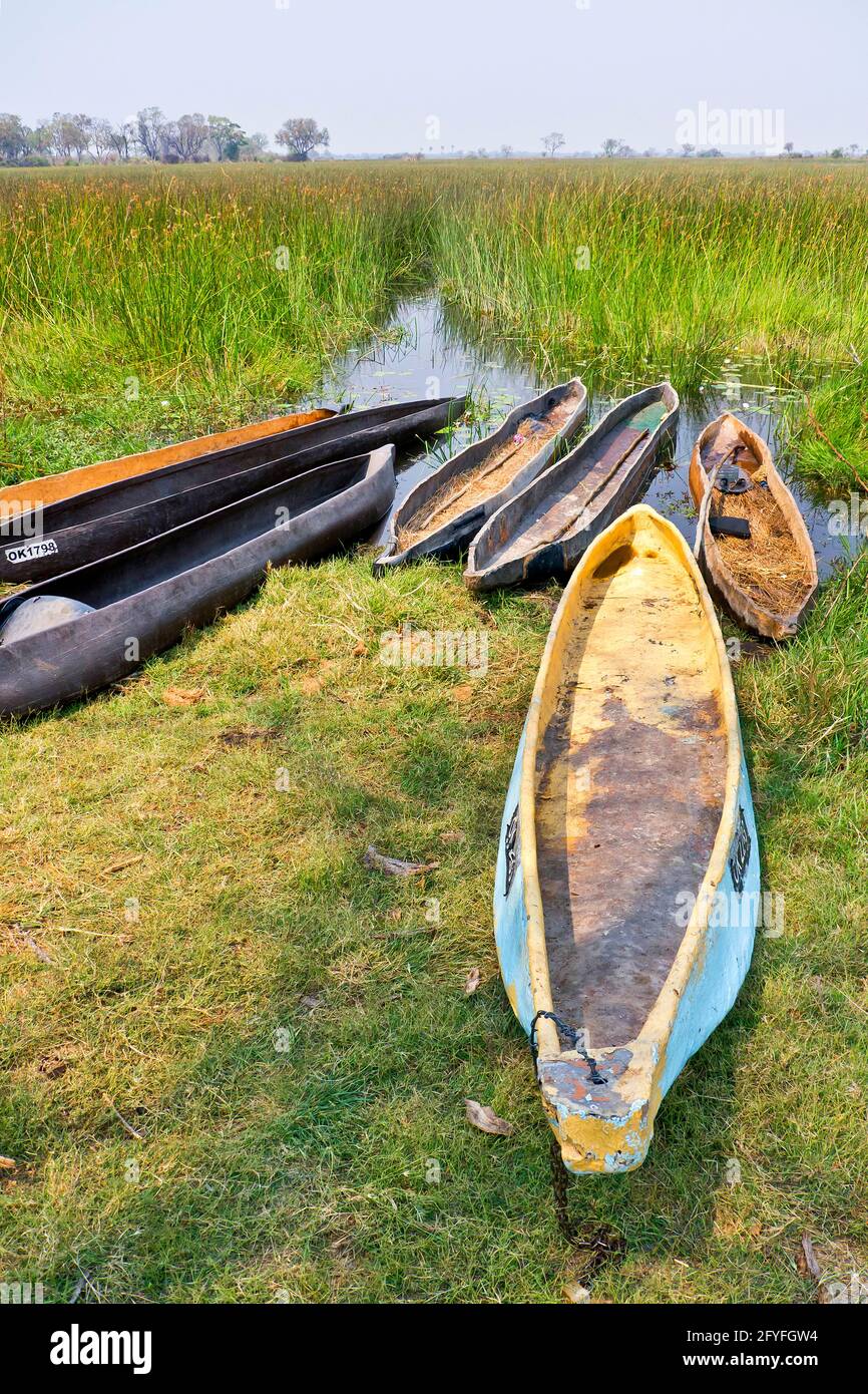 Mokoro, Dugout canoes, Traditional boat, Okavango Delta, Botswana ...