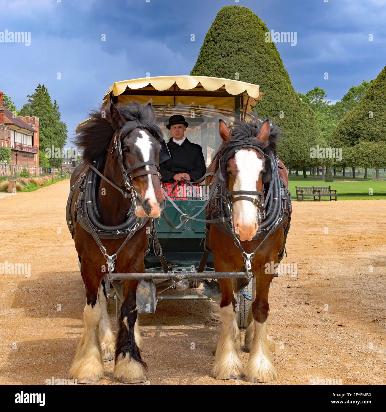 Horses drawn carriage with driver in traditional dress waiting for ...