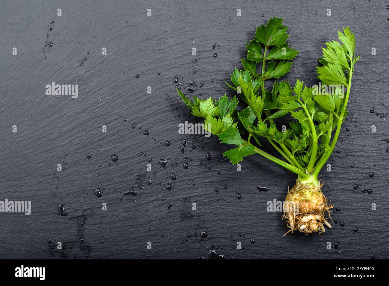 Bulb of celery with leaves, vegetables from local market, farm fresh ...