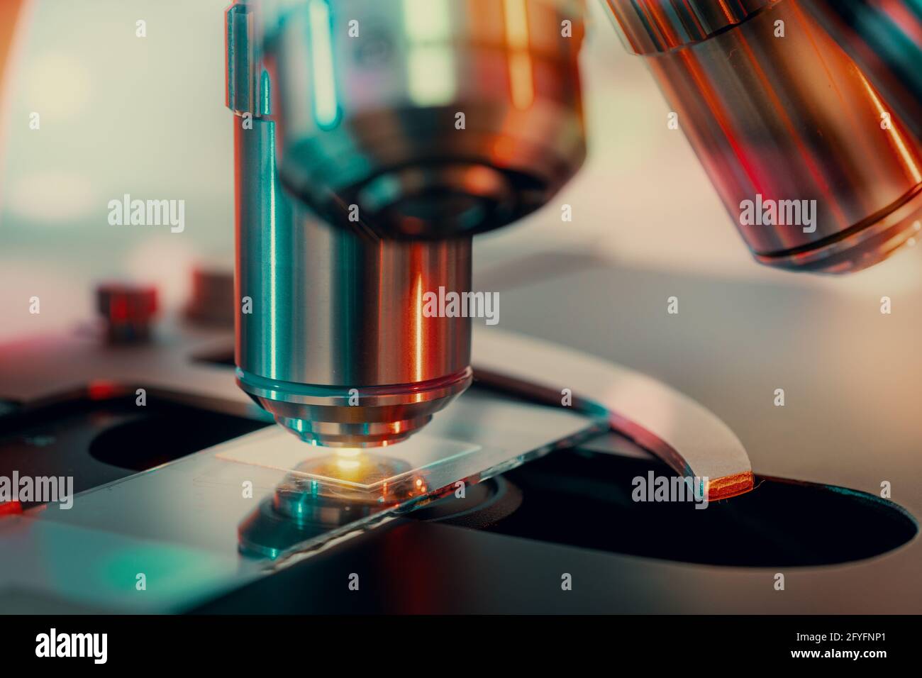 Stereo binocular microscope hi-res stock photography and images - Alamy