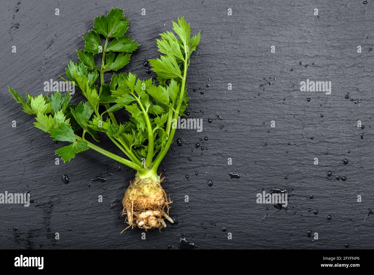 Fresh selery with leaves, overhead, vegetables from local market, farm ...
