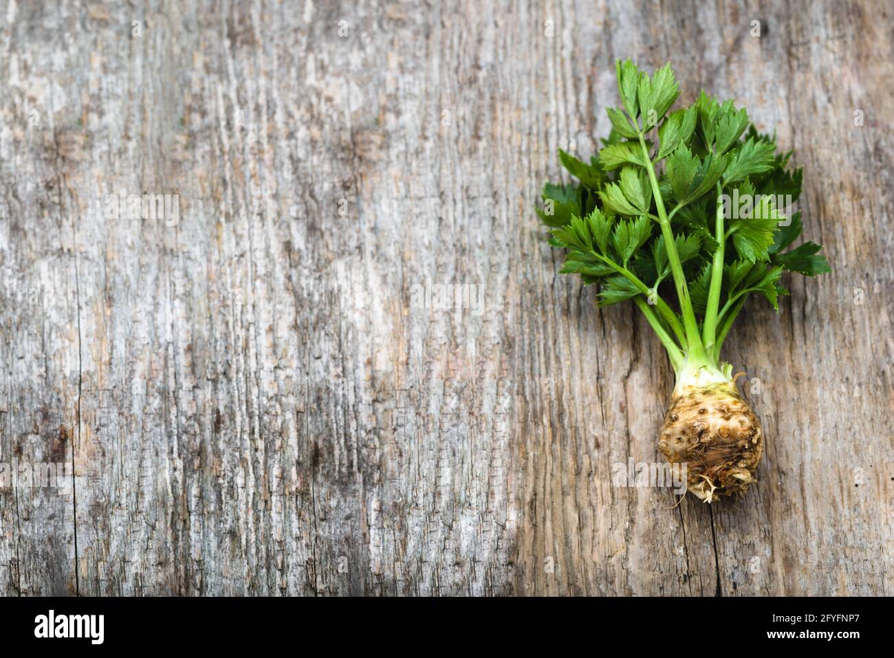 Root of celery with leaves, overhead, vegetables, farm fresh produce on ...
