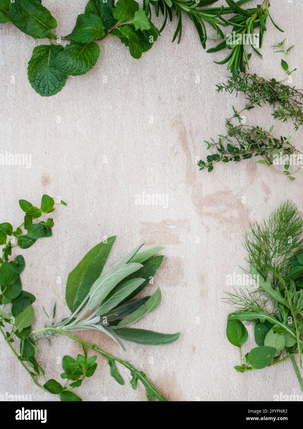 Edible herbs hi-res stock photography and images - Alamy