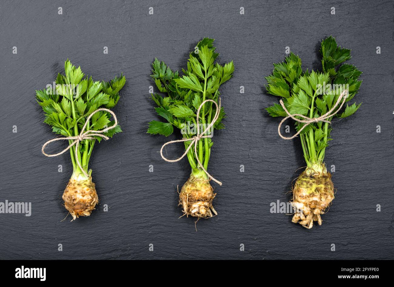 Root of celery with leaves, local market vegetables on black background ...