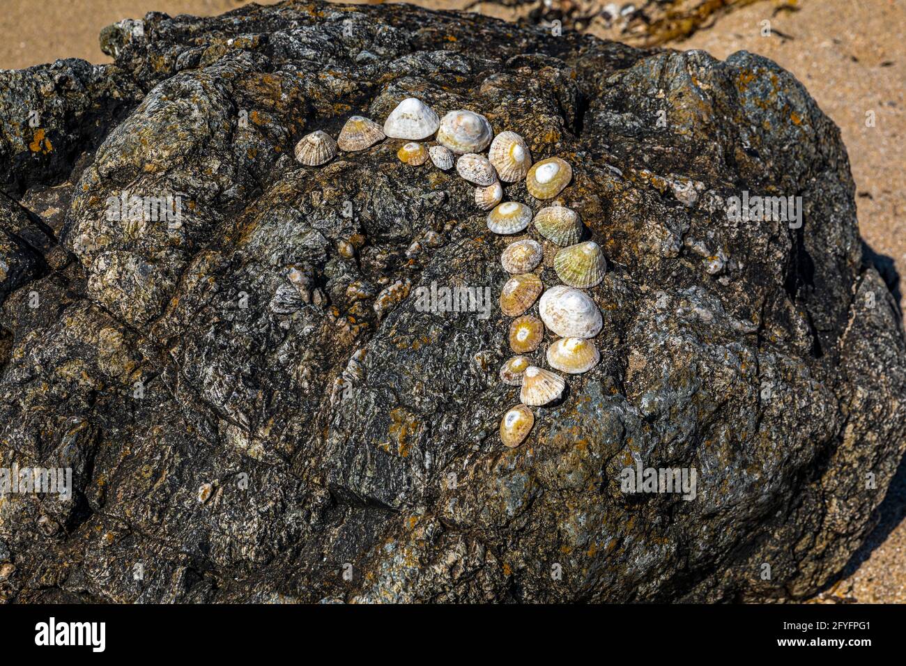 Crescent shape hi-res stock photography and images - Alamy