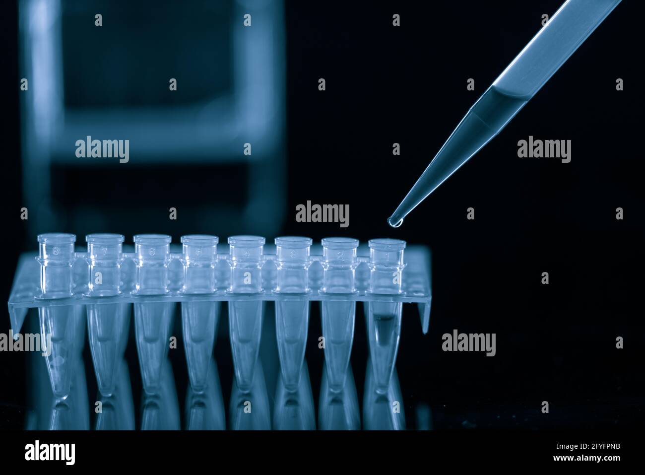 PCR Tube Strips Well and Pipette in genetic research laboratory close ...
