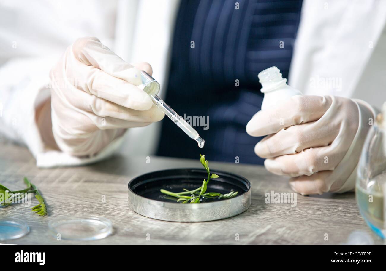 Biochemistry specialist experiment on Natural organic botany and ...