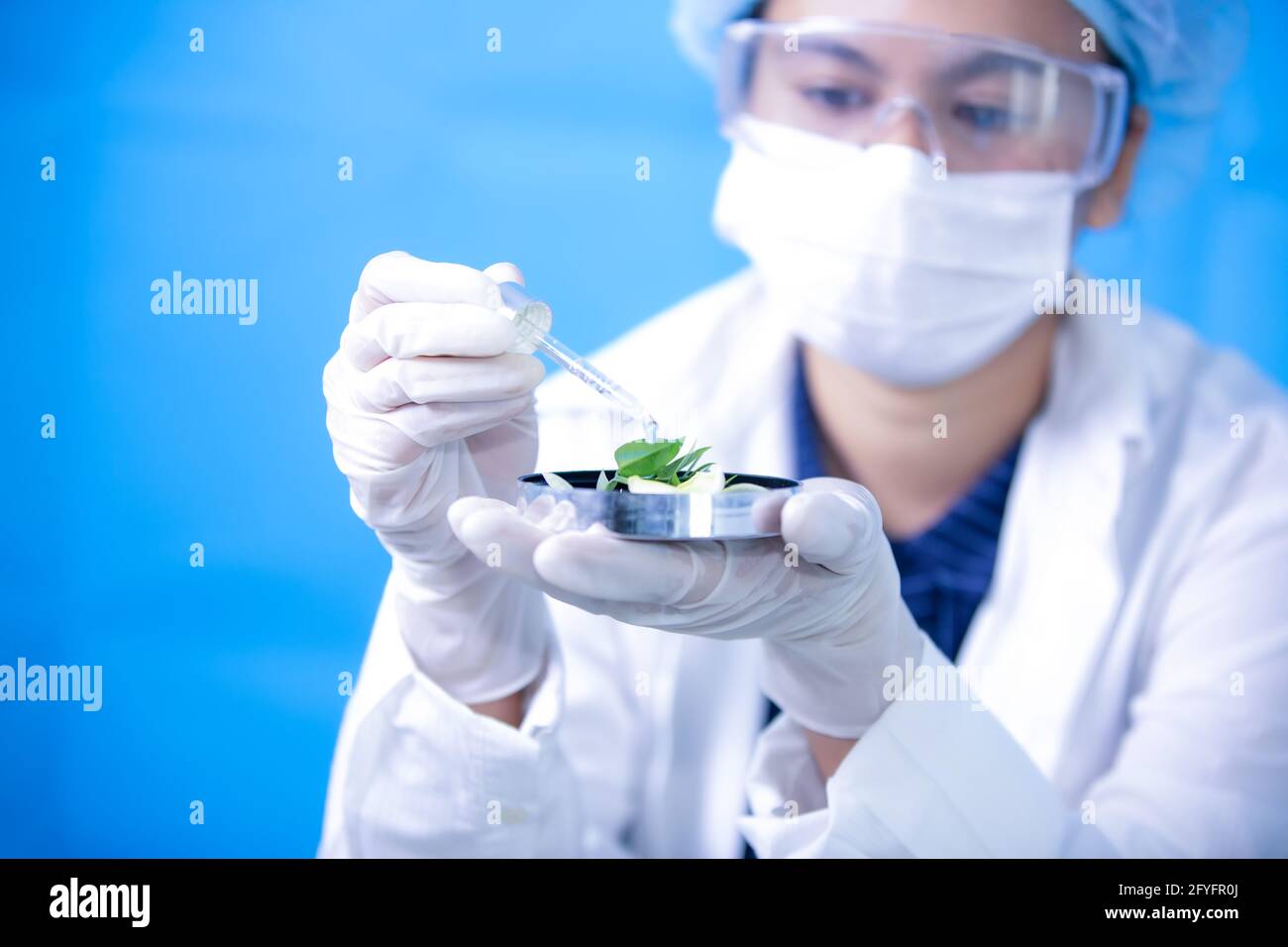 Biochemistry specialist experiment on Natural organic botany and ...