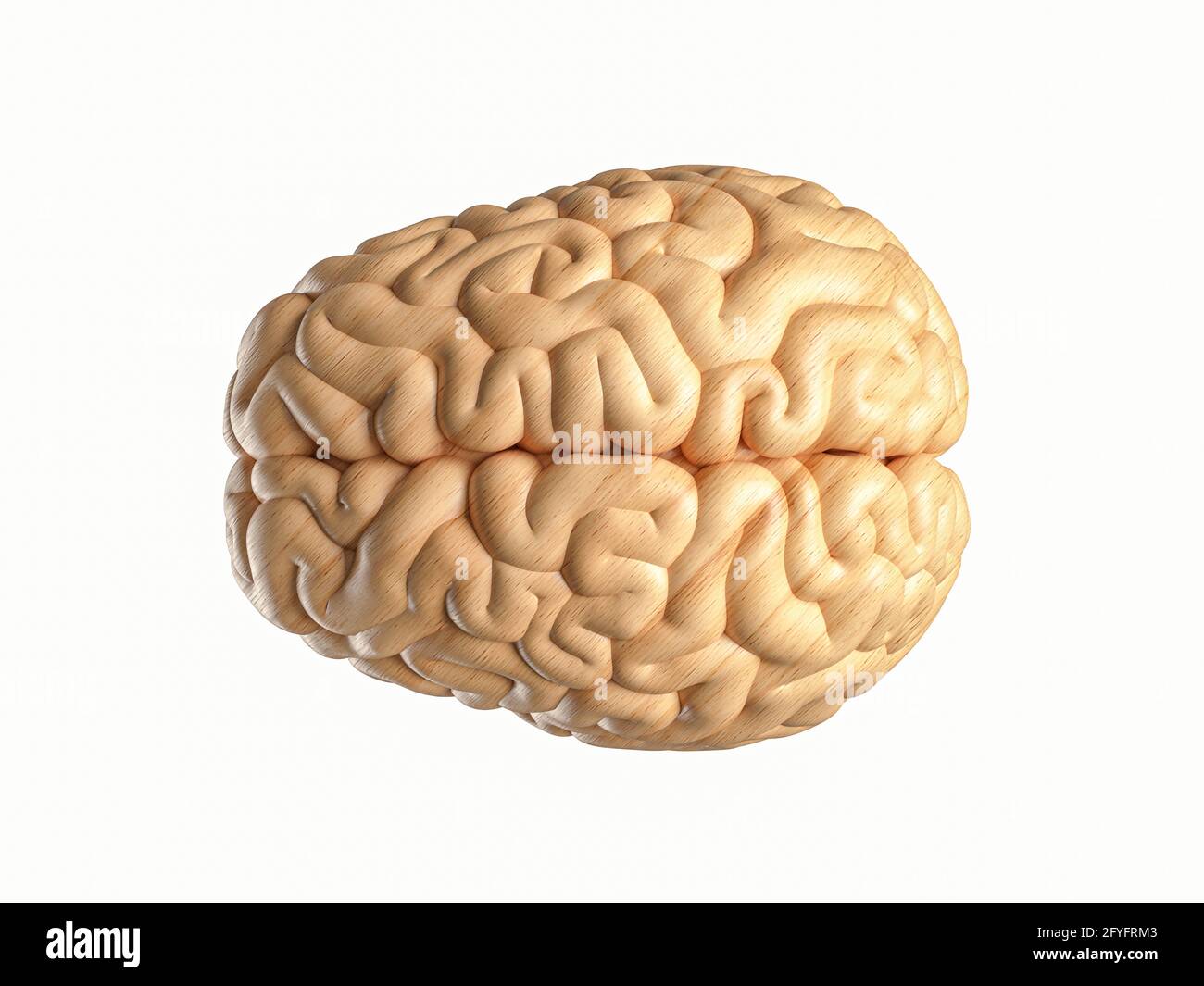 3d illustration of human brain made of wood. Top view of wooden human ...