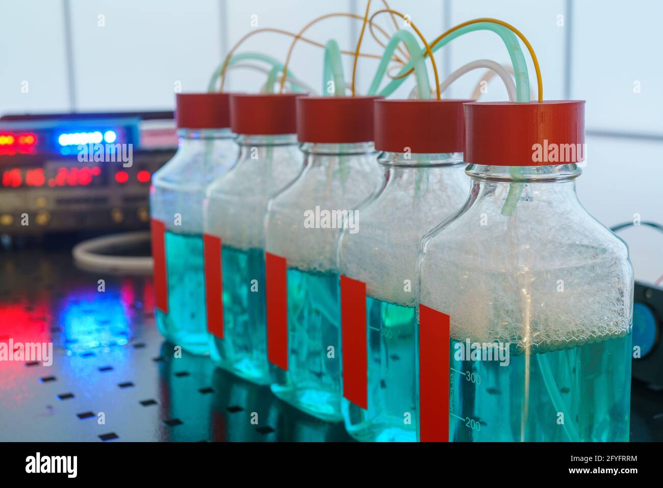 Biohydrogen production research produced by fermentation. Fermentation ...