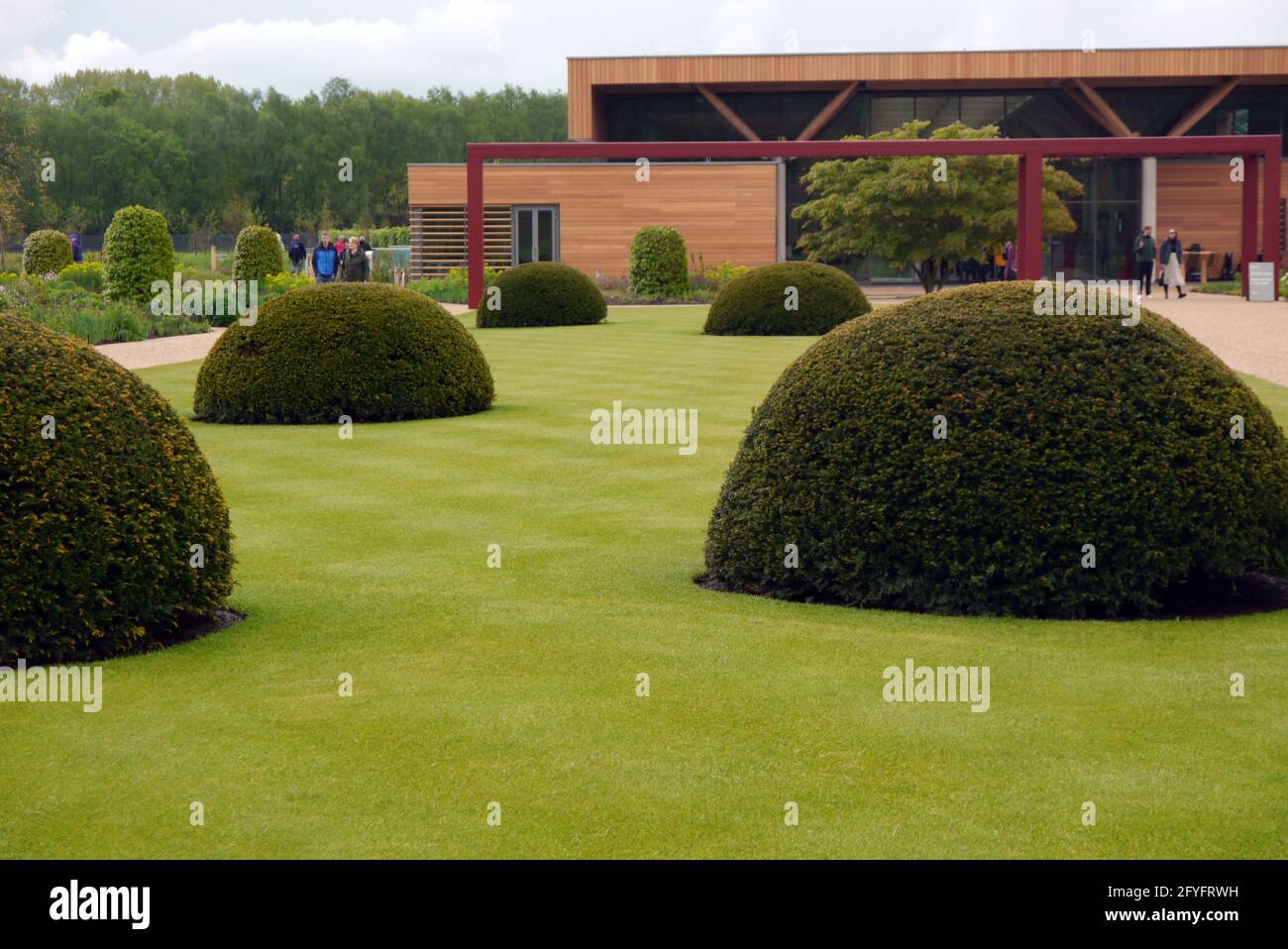 Clipped Yew Tree Domes on the Lawn Next to the Worsley Welcome Garden ...