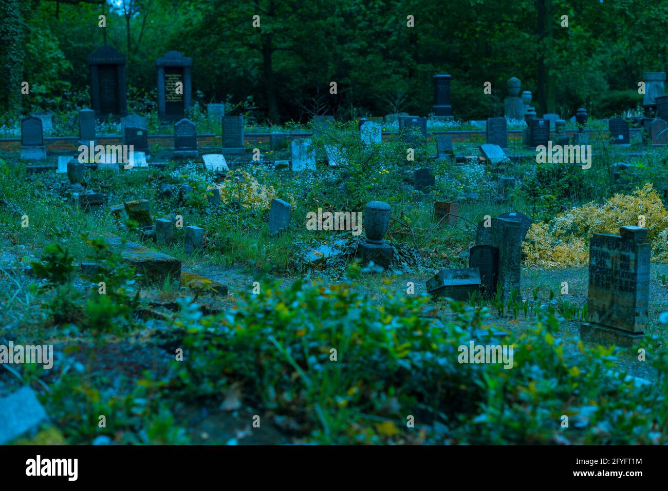 many old tombstones in a cemetery Stock Photo - Alamy