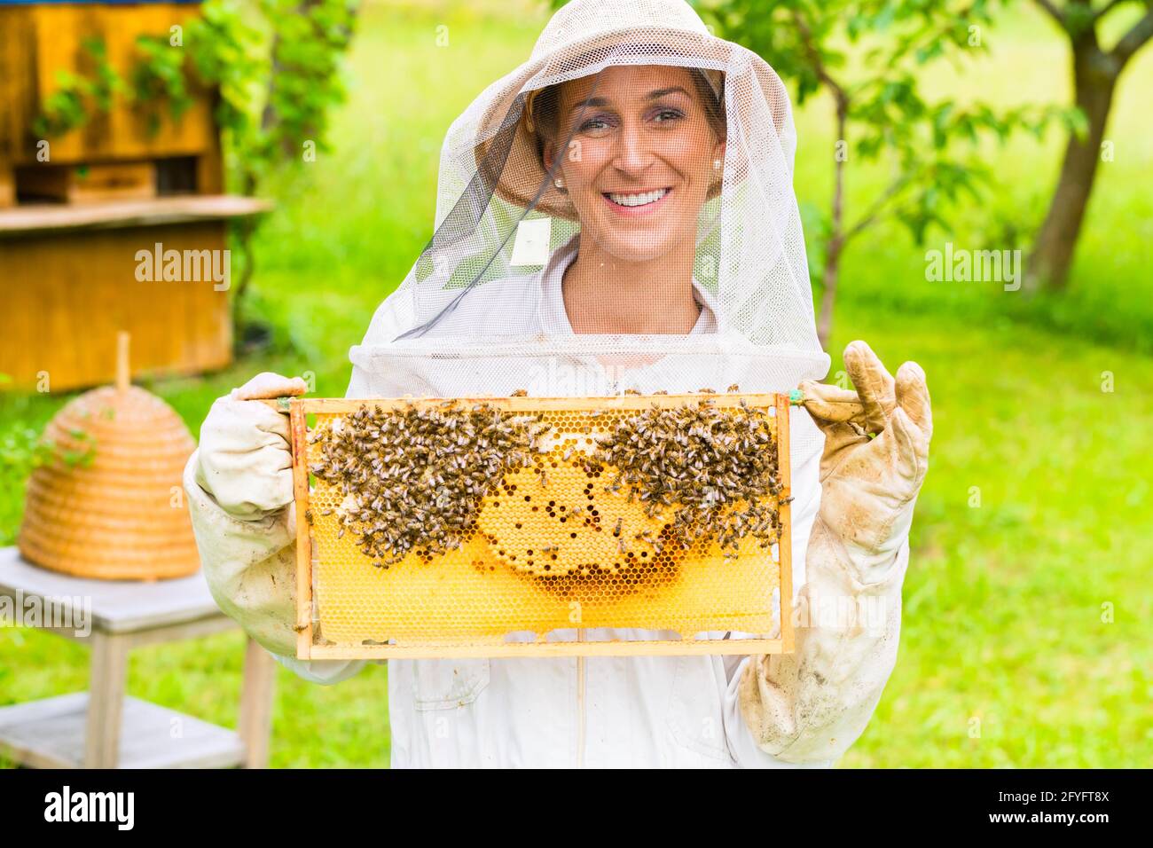 Beekeeper controlling beehive and comb frame Stock Photo - Alamy
