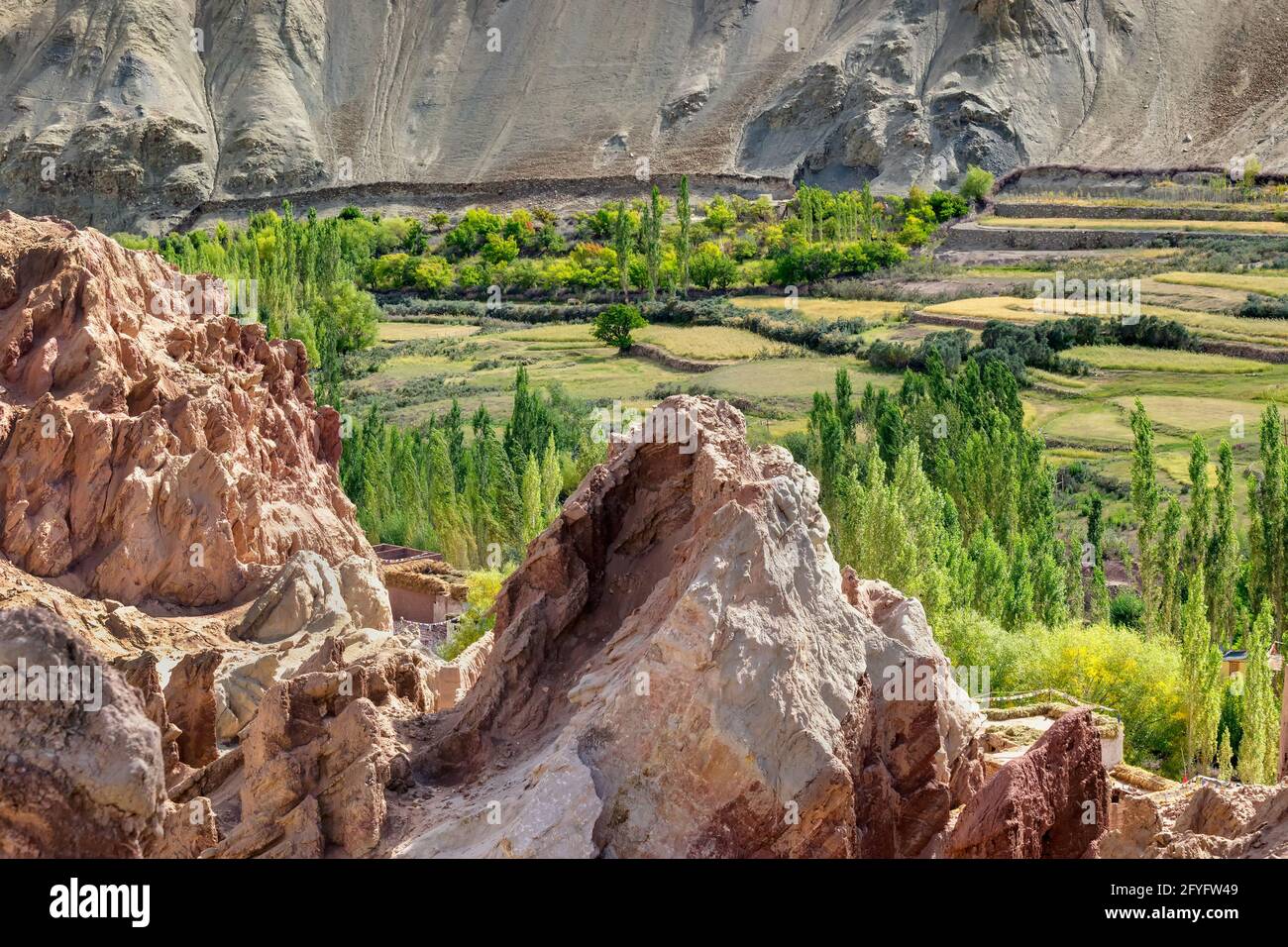 Ancient ruins at Basgo Monastery, Leh ladakh landscape, Jammu and ...